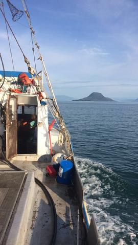 Sternpicker 0097 | 40' Royal Marine Sternpicker| Copper River Boats