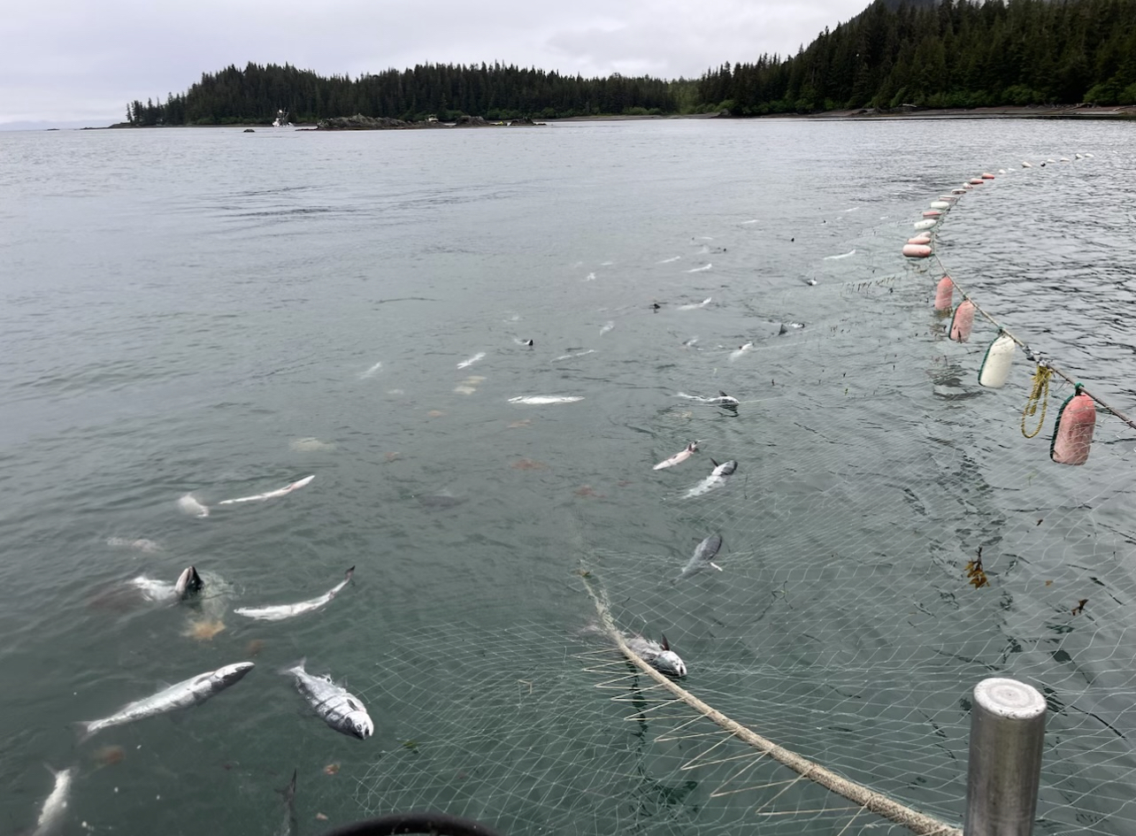 PWS Salmon Setnet Package - Copper River Boats